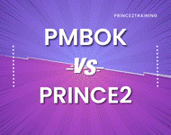 Differences and Similarities Between PMBOK and PRINCE2
