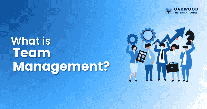 What is Team Management? Strategies, Benefits, and Examples