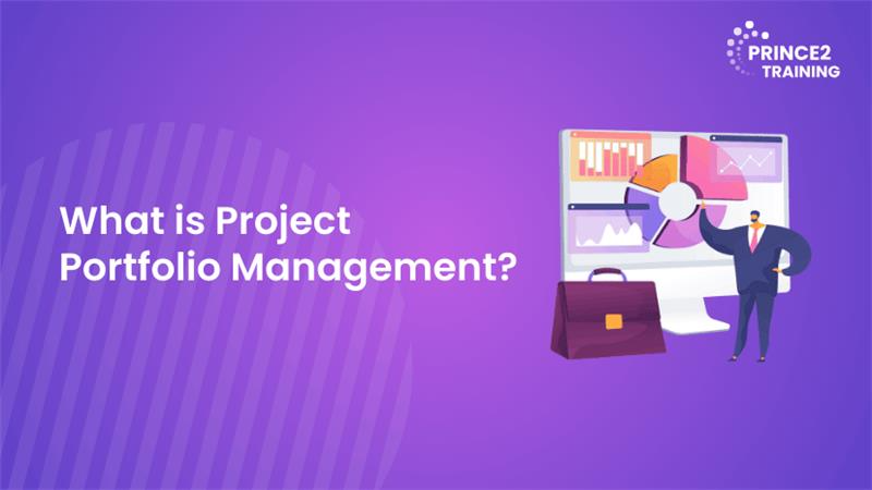 Project Portfolio Management (PPM): A Beginner's Guide