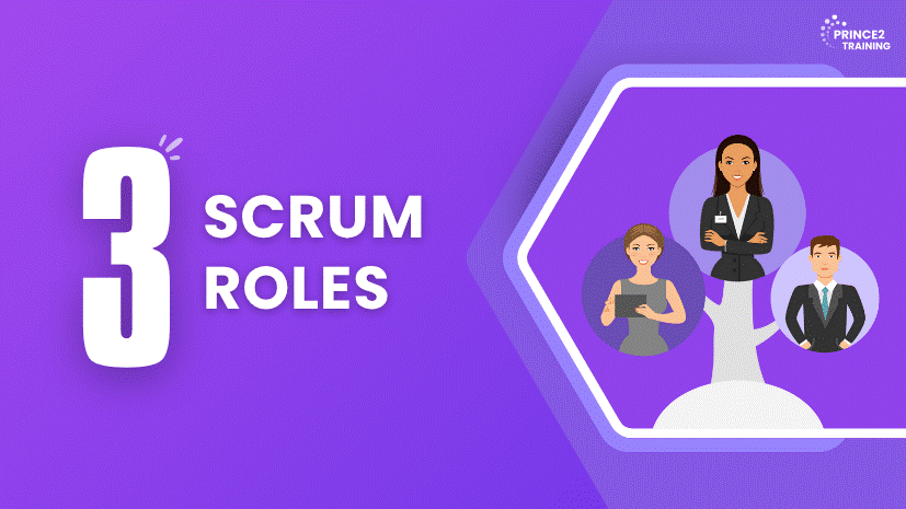 Scrum Roles Explained: Key Responsibilities in Agile Teams