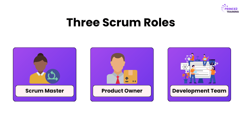 Scrum Roles Explained: Key Responsibilities in Agile Teams
