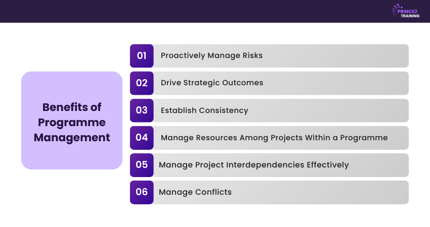 What is Programme Management? Importance, Benefits, and Tips