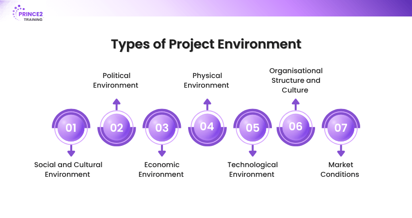 What is Project Environment? Types and Analysis Methods